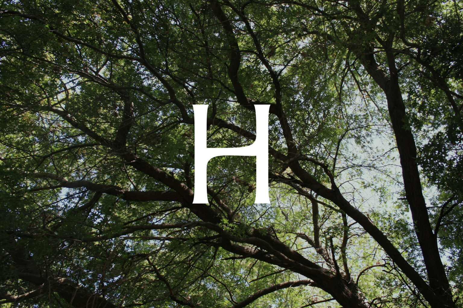 Creating forms that last - Studio Oker